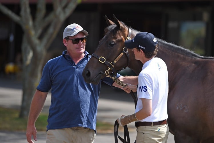 Matt Allnutt appointed as general manager [Go Racing]